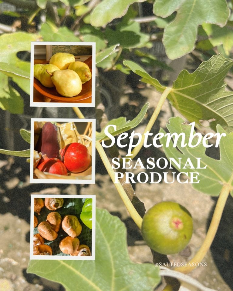 Classic Sourdough Boule - Salted Seasons