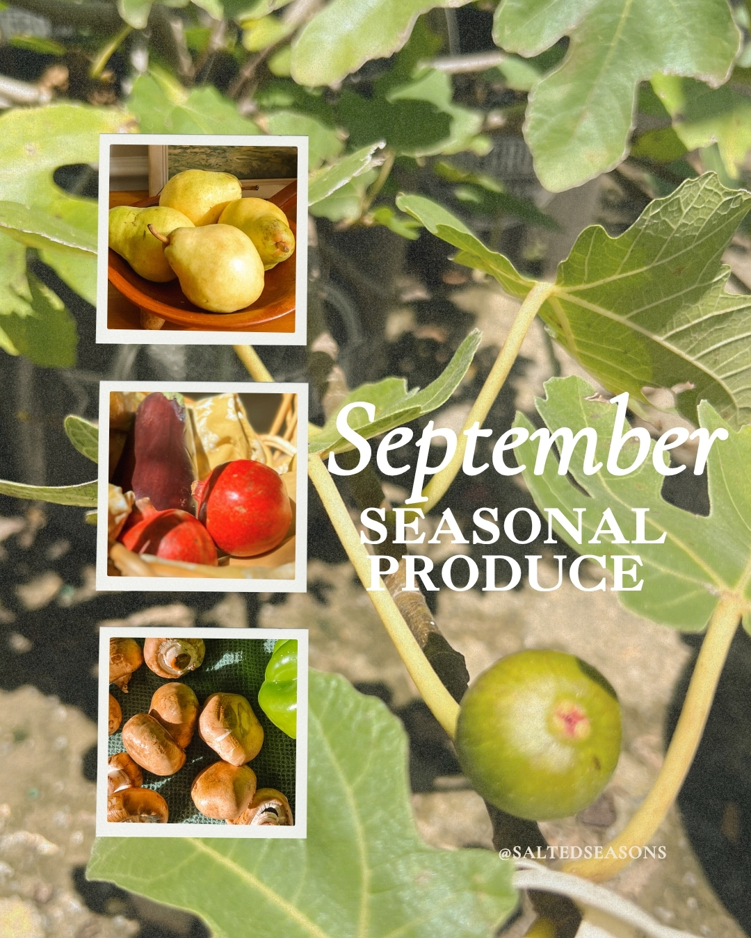 September Produce Guide: Foods In Season for September - Salted Seasons